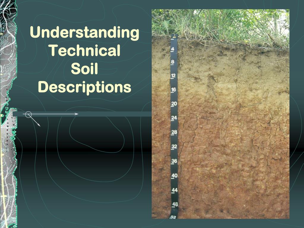 PPT - Understanding Technical Soil Descriptions PowerPoint Presentation ...