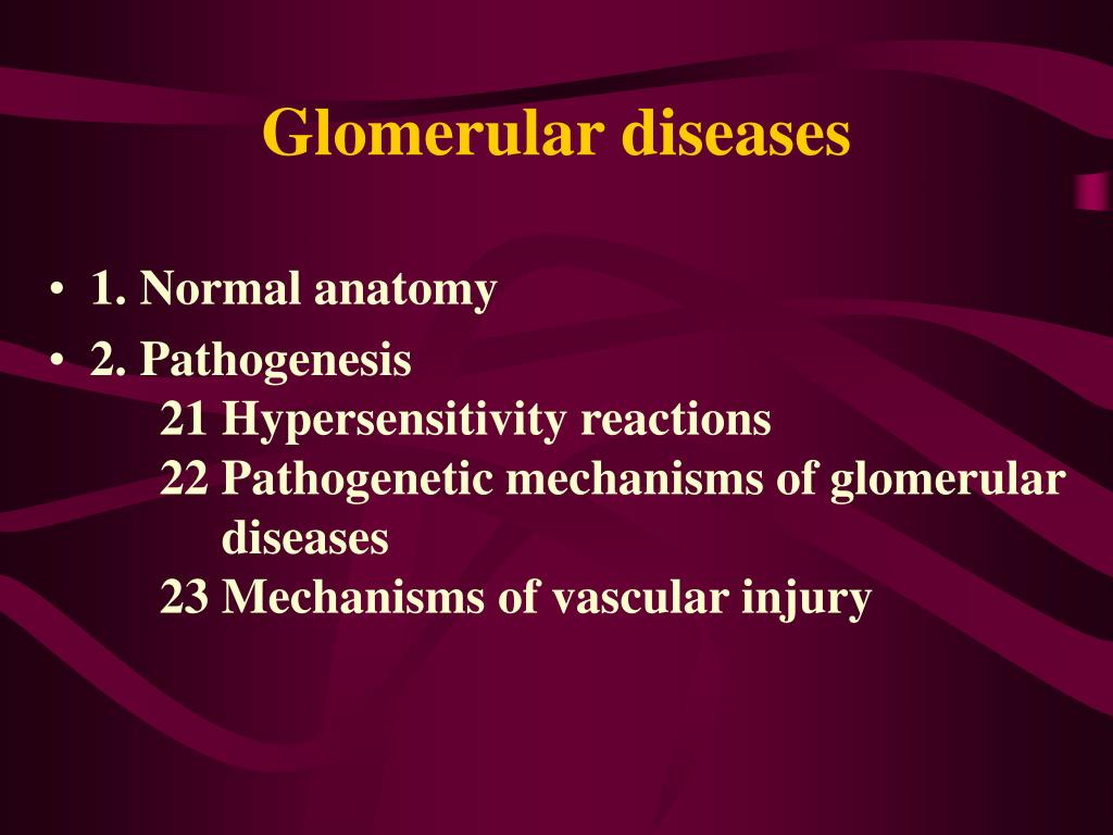 PPT - Glomerular diseases PowerPoint Presentation, free download - ID:3216715
