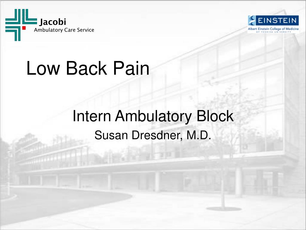 PPT - Low Back Pain PowerPoint Presentation, free download - ID:3218013