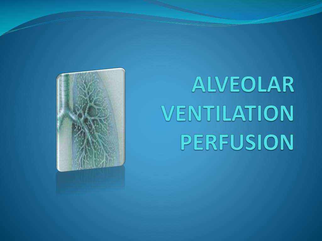 PPT - ALVEOLAR VENTILATION PERFUSION PowerPoint Presentation, free ...