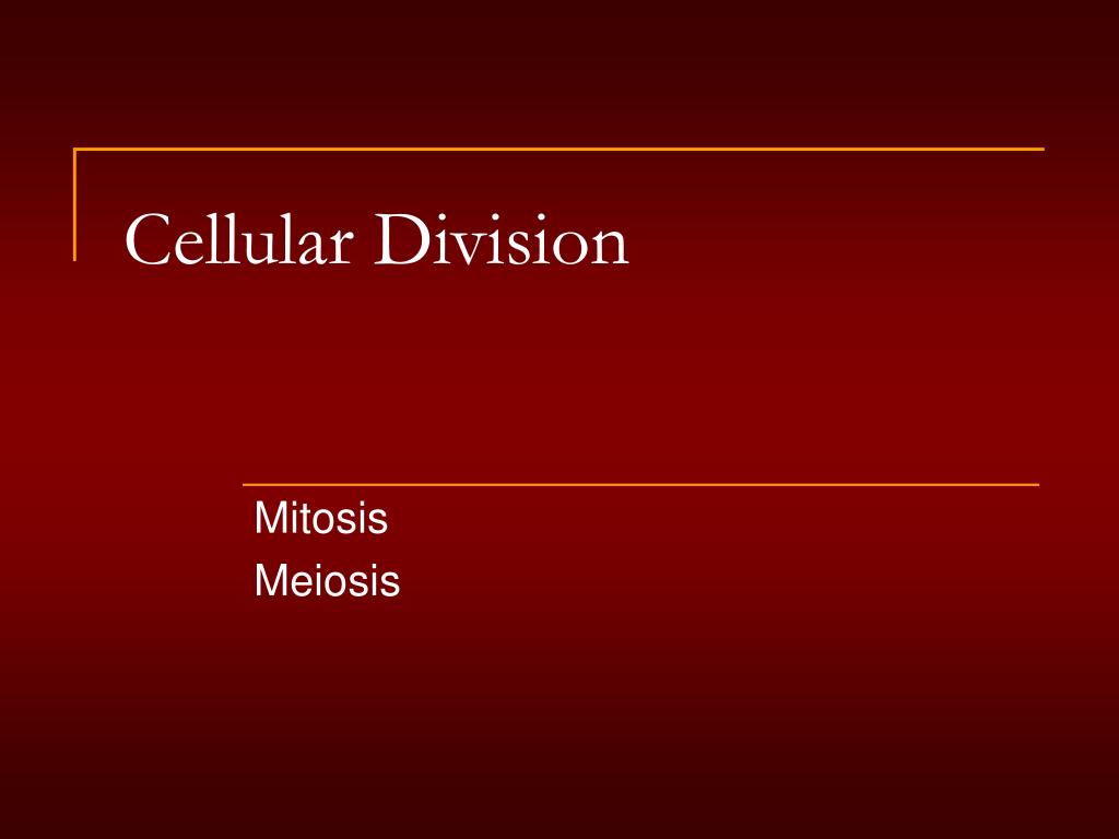PPT - Cellular Division PowerPoint Presentation, free download - ID:3223766