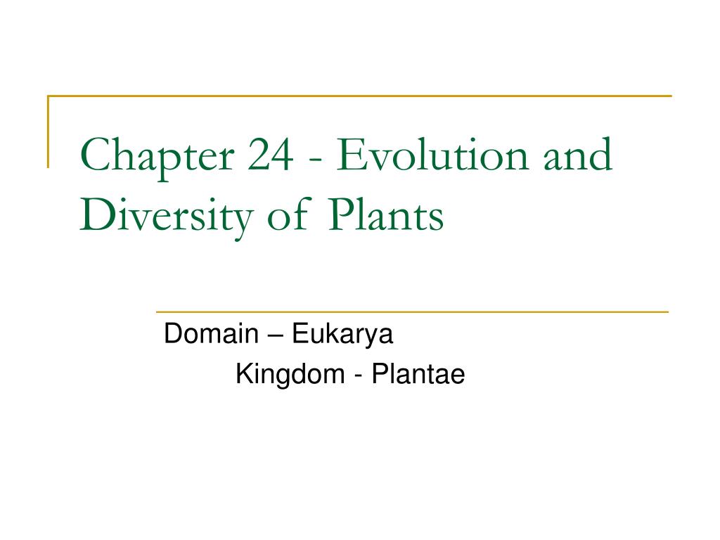 PPT - Chapter 24 - Evolution and Diversity of Plants PowerPoint ...