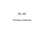 PPT - Ch 43- Immune system PowerPoint Presentation, free download - ID ...