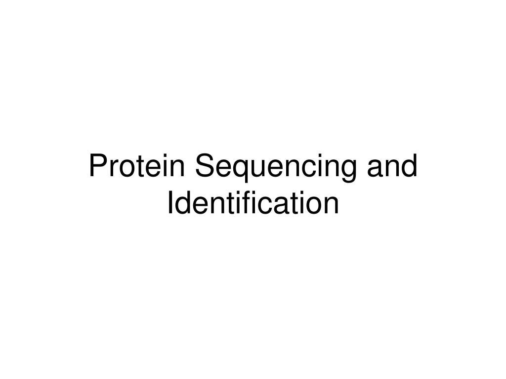 PPT - Protein Sequencing and Identification PowerPoint Presentation ...