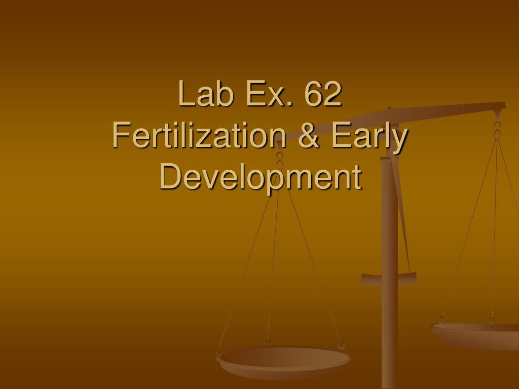 PPT - Lab Ex. 62 Fertilization & Early Development PowerPoint Presentation - ID:3225133