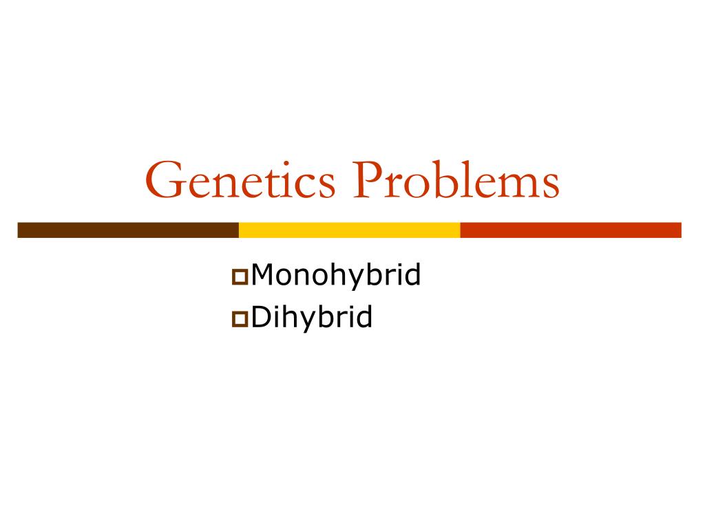 PPT - Genetics Problems PowerPoint Presentation, free download - ID:3227030