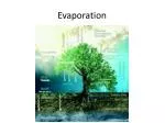 PPT - EVAPORATION PowerPoint Presentation, free download - ID:6869603
