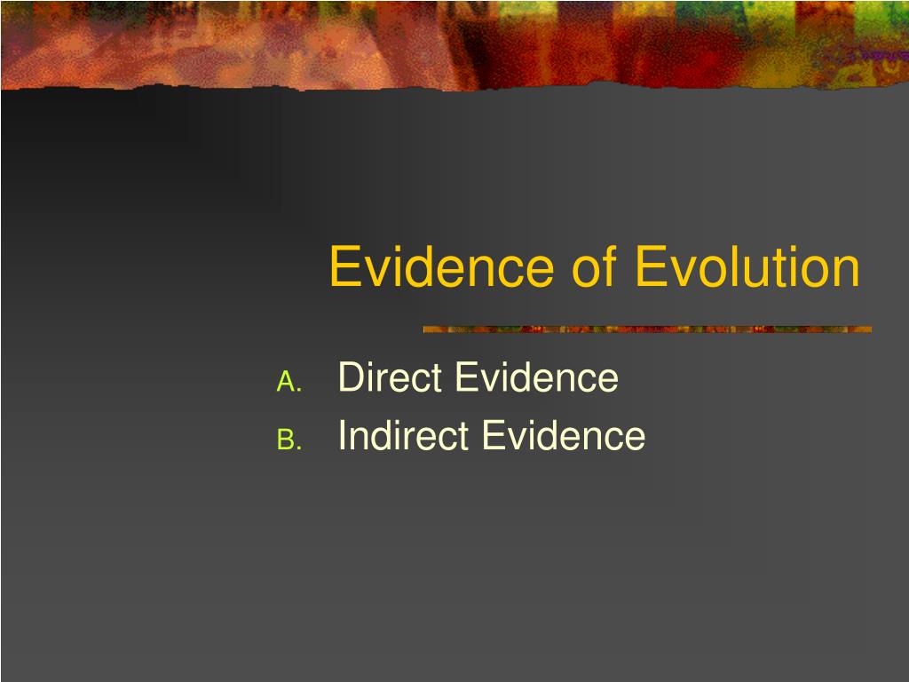PPT - Evidence of Evolution PowerPoint Presentation, free download - ID ...