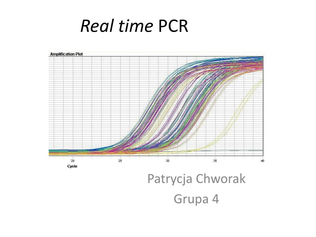 PPT - Real time PCR PowerPoint Presentation, free download - ID:3236879