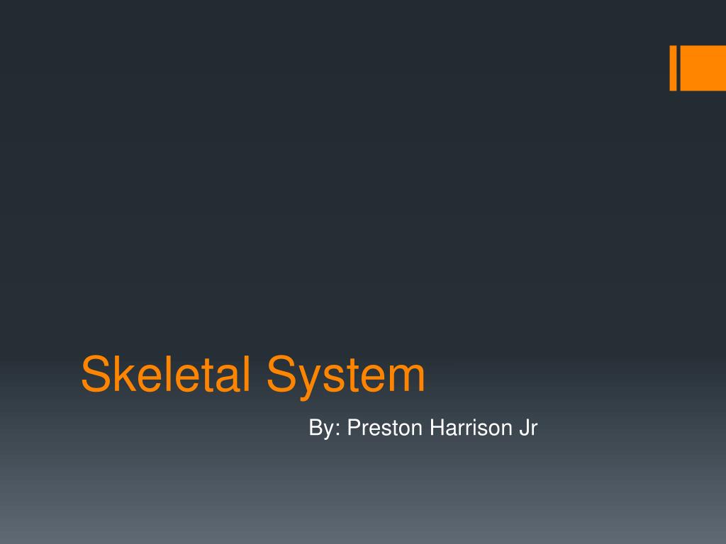 PPT - Skeletal System PowerPoint Presentation, free download - ID:3249670