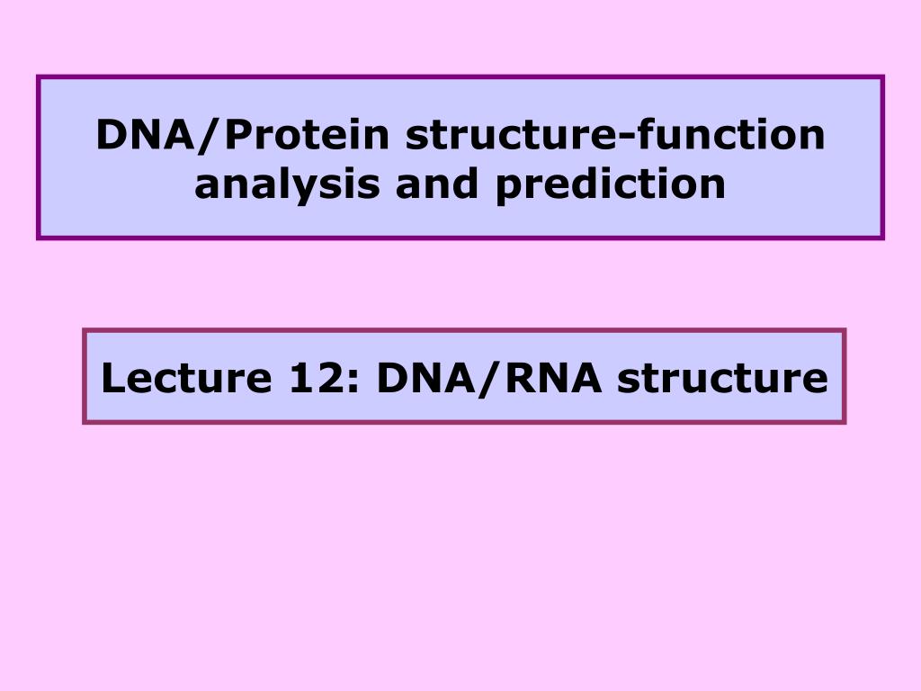 PPT - DNA/Protein structure-function analysis and prediction PowerPoint ...