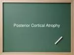PPT - Cortical Anatomy PowerPoint Presentation, free download - ID:3354371