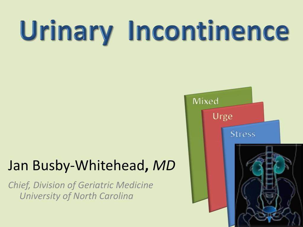 PPT - Urinary Incontinence PowerPoint Presentation, free download - ID ...