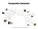 PPT - Comparative Genomics PowerPoint Presentation, free download - ID ...