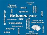 PPT - Example of Science Fair Report PowerPoint Presentation, free ...