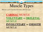 PPT - The Three Types of Muscle PowerPoint Presentation, free download ...