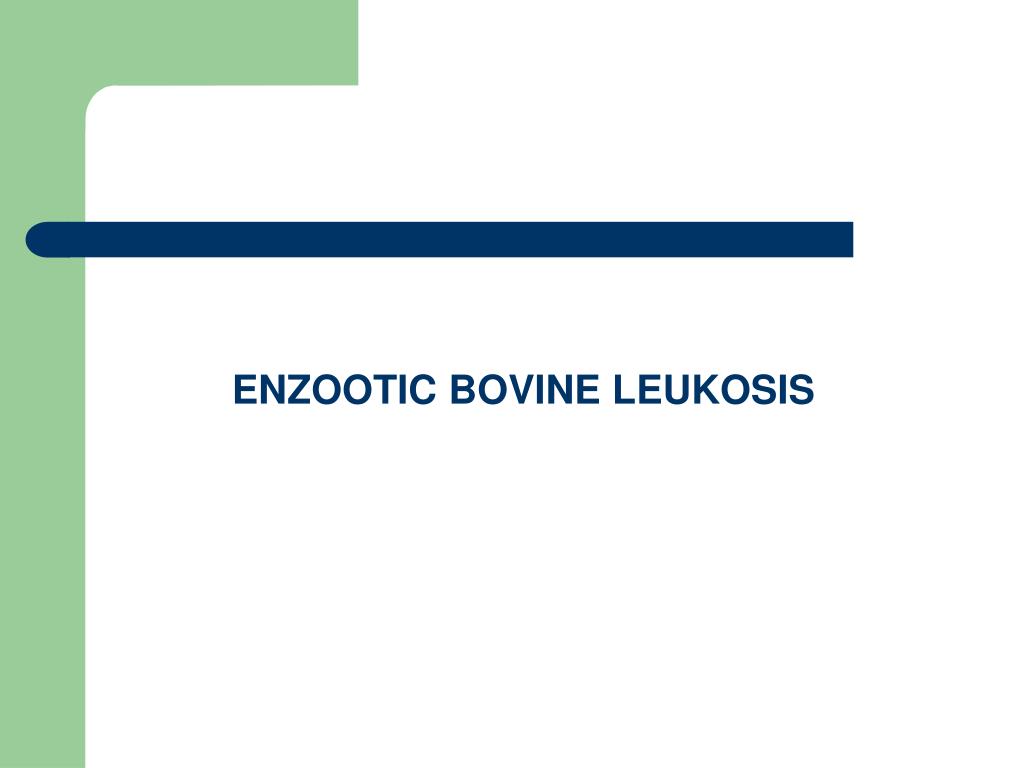 PPT - ENZOOTIC BOVINE LEUKOSIS PowerPoint Presentation, free download ...