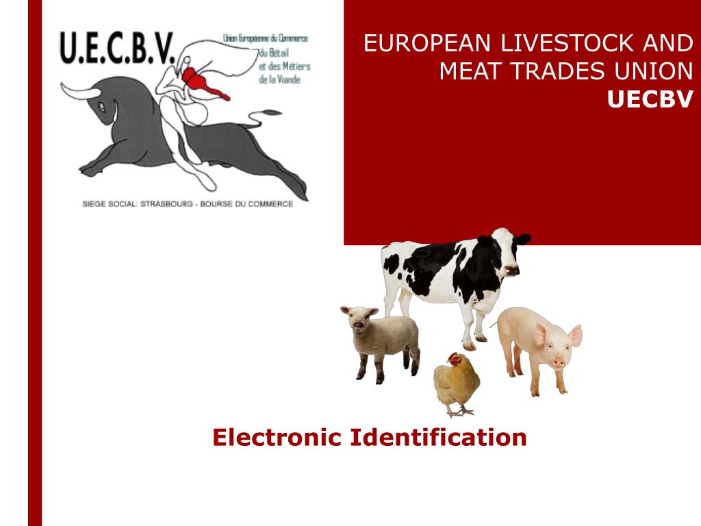 PPT - Electronic Identification PowerPoint Presentation, free download ...
