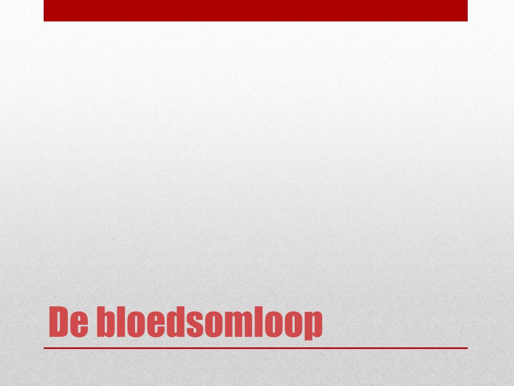 PPT - De bloedsomloop PowerPoint Presentation, free download - ID:3268628