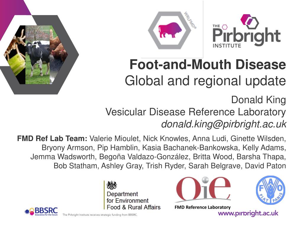 PPT - FMD Reference Laboratory PowerPoint Presentation, free download ...