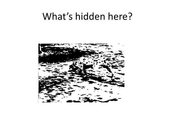PPT - What’s hidden here? PowerPoint Presentation, free download - ID ...