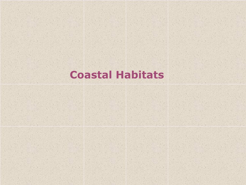 PPT - Coastal Habitats PowerPoint Presentation, free download - ID:3270543