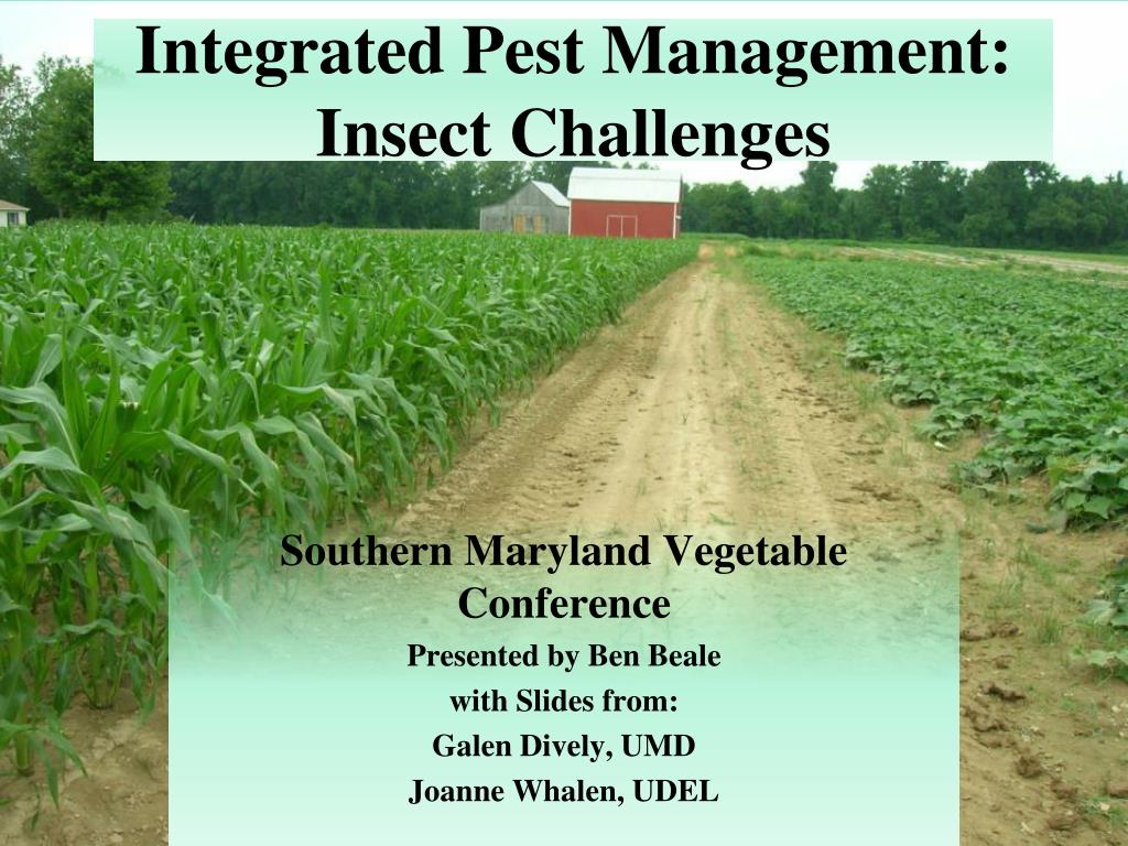 PPT - Integrated Pest Management: Insect Challenges PowerPoint ...