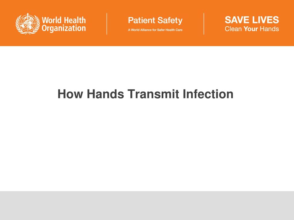 PPT - How Hands Transmit Infection: Prevention and Control PowerPoint ...