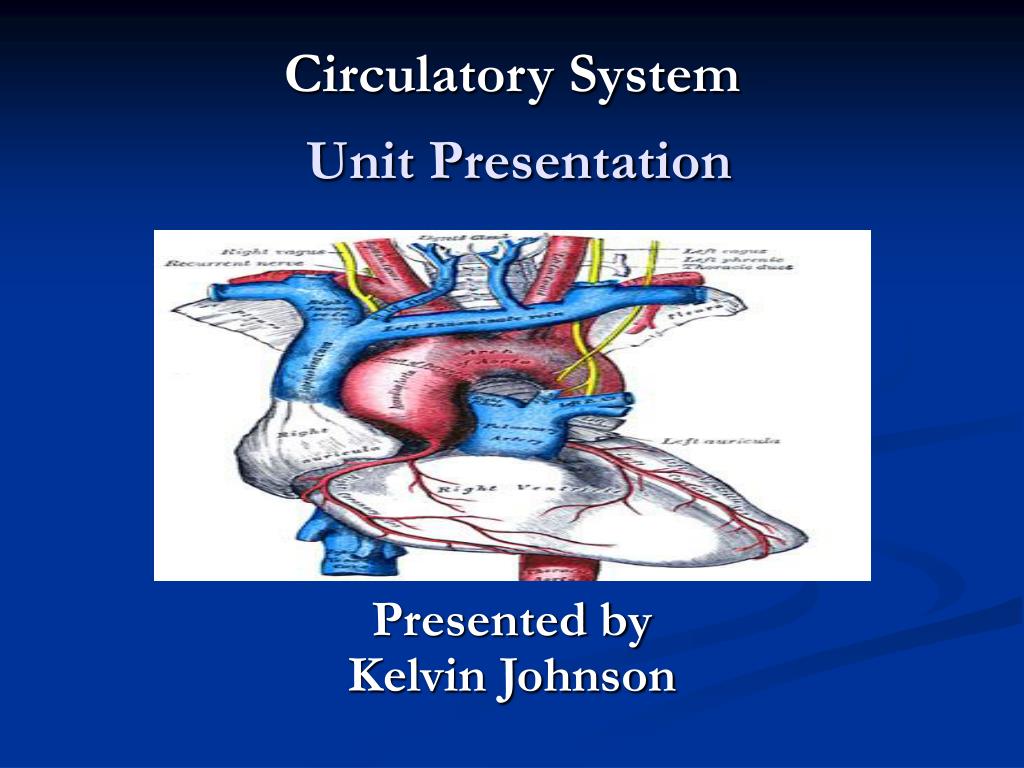PPT - Circulatory System Unit Presentation PowerPoint Presentation ...