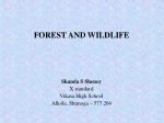 PPT - Forest and Wildlife Resources PowerPoint Presentation, free ...