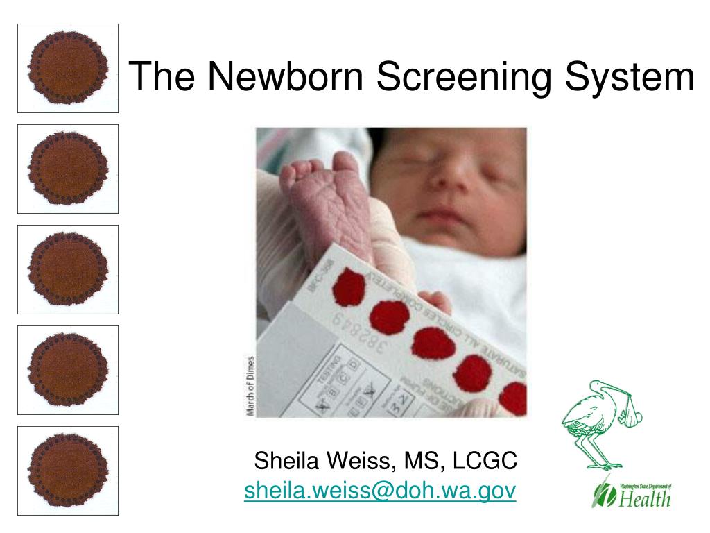 PPT - The Newborn Screening System PowerPoint Presentation, free ...