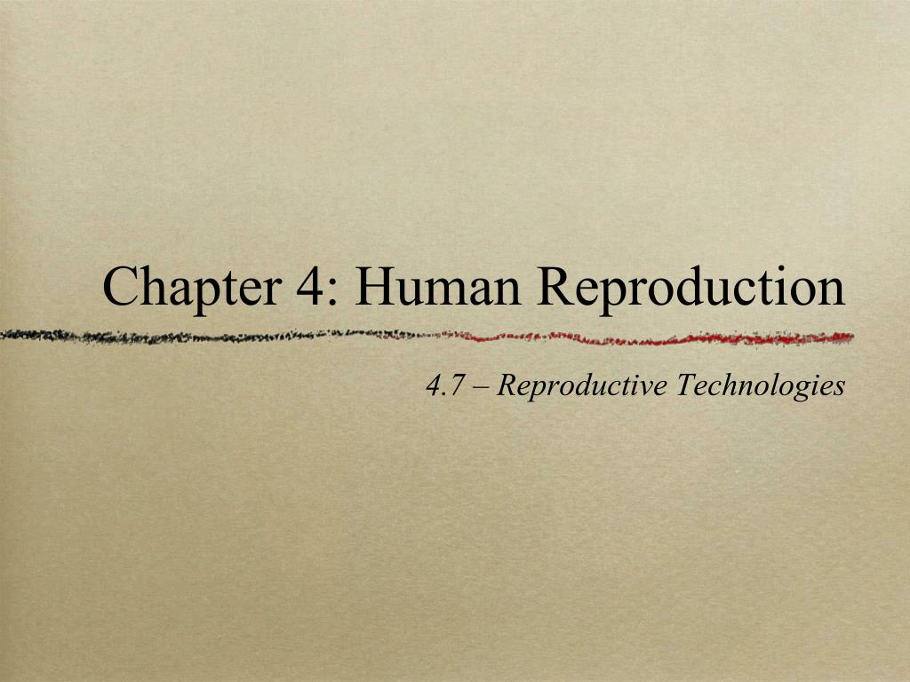 PPT - Chapter 4: Human Reproduction PowerPoint Presentation, free ...