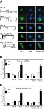 PPT - DEMAM BERDARAH DENGUE (DBD) PowerPoint Presentation, free ...