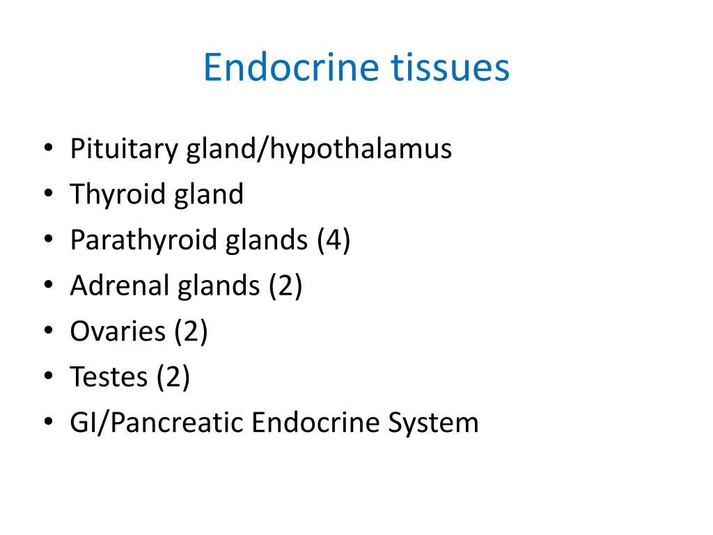 PPT - Endocrine tissues PowerPoint Presentation, free download - ID:3290729