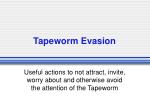 PPT - Tapeworm Infection PowerPoint Presentation, free download - ID:545006