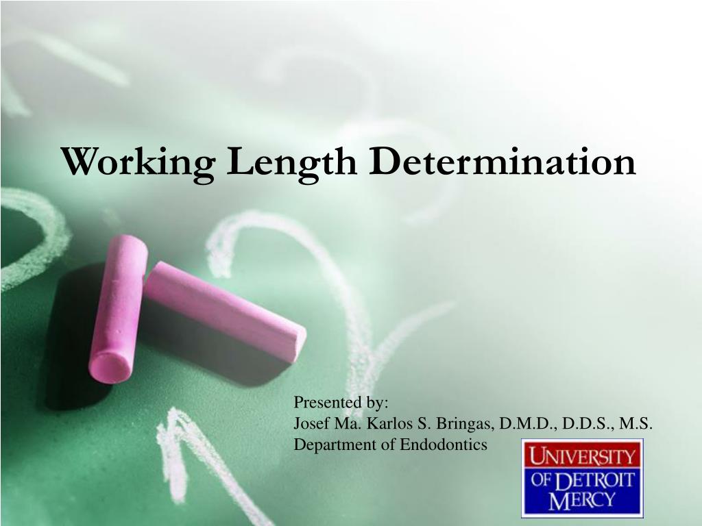 PPT - Working Length Determination PowerPoint Presentation, free ...
