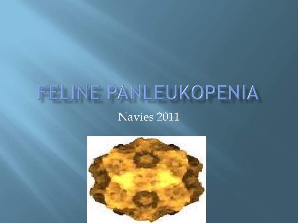 PPT - Feline Panleukopenia PowerPoint Presentation, free download - ID ...