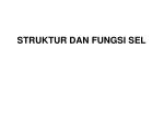 PPT - STRUKTUR, FUNGSI DAN TUGAS PENGURUS OSIS PowerPoint Presentation ...