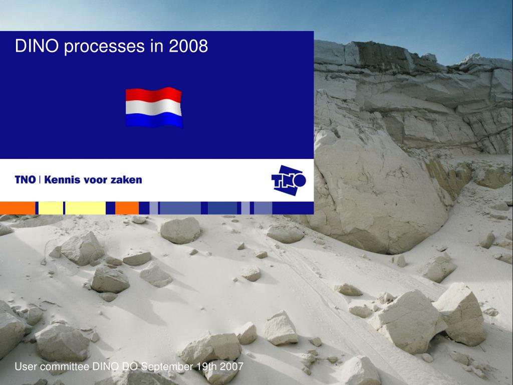 PPT - DINO processes in 2008 PowerPoint Presentation, free download ...