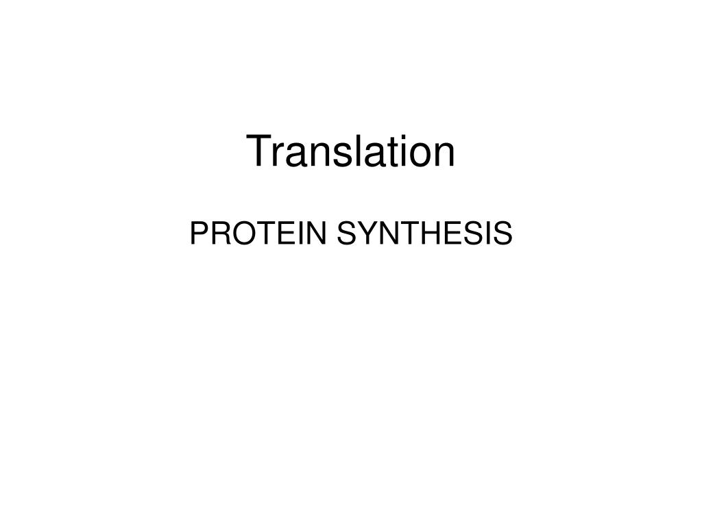 PPT - Translation PowerPoint Presentation, free download - ID:3307409