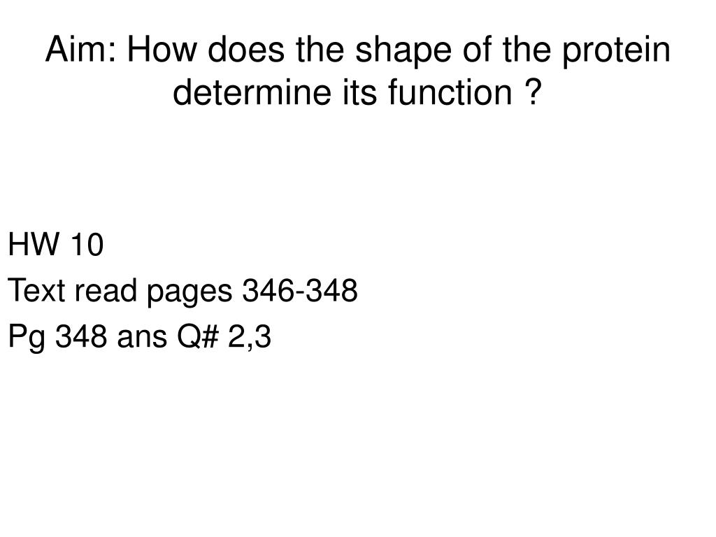 PPT - Aim: How does the shape of the protein determine its function ...