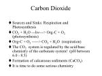 PPT - CARBON DIOXIDE ABSORPTION PowerPoint Presentation, free download ...