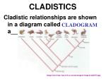 PPT - Phenetics vs. Cladistics PowerPoint Presentation, free download ...