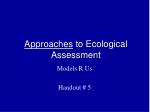 PPT - ECOLOGICAL RISK ASSESSMENT PowerPoint Presentation, free download ...