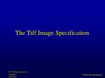PPT - Best of TIFF PowerPoint Presentation, free download - ID:7688777