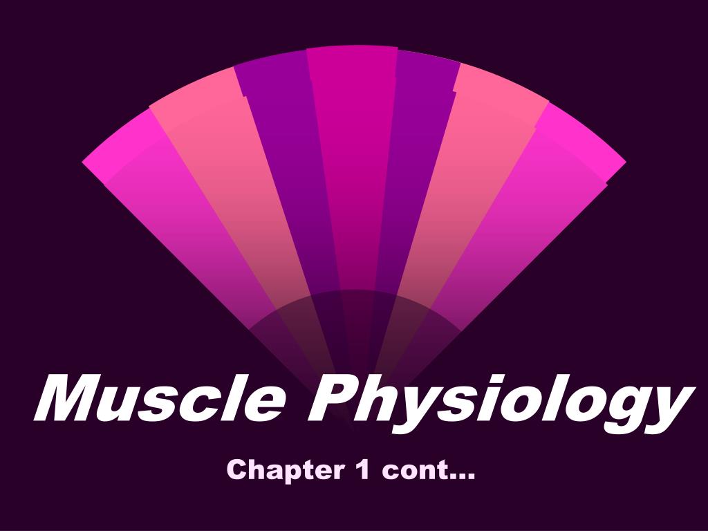 PPT - Muscle Physiology PowerPoint Presentation, free download - ID:3320379