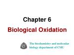 PPT - Chapter 6: Oxidation-Reduction Reactions PowerPoint Presentation ...