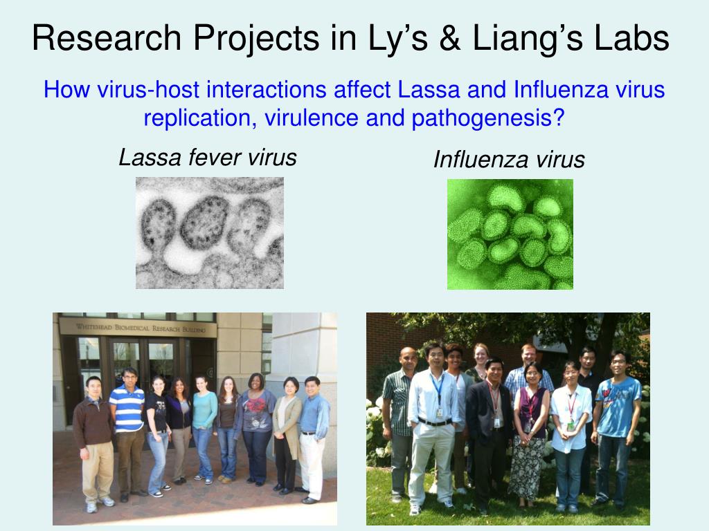 PPT - Lassa fever virus PowerPoint Presentation, free download - ID:3323430