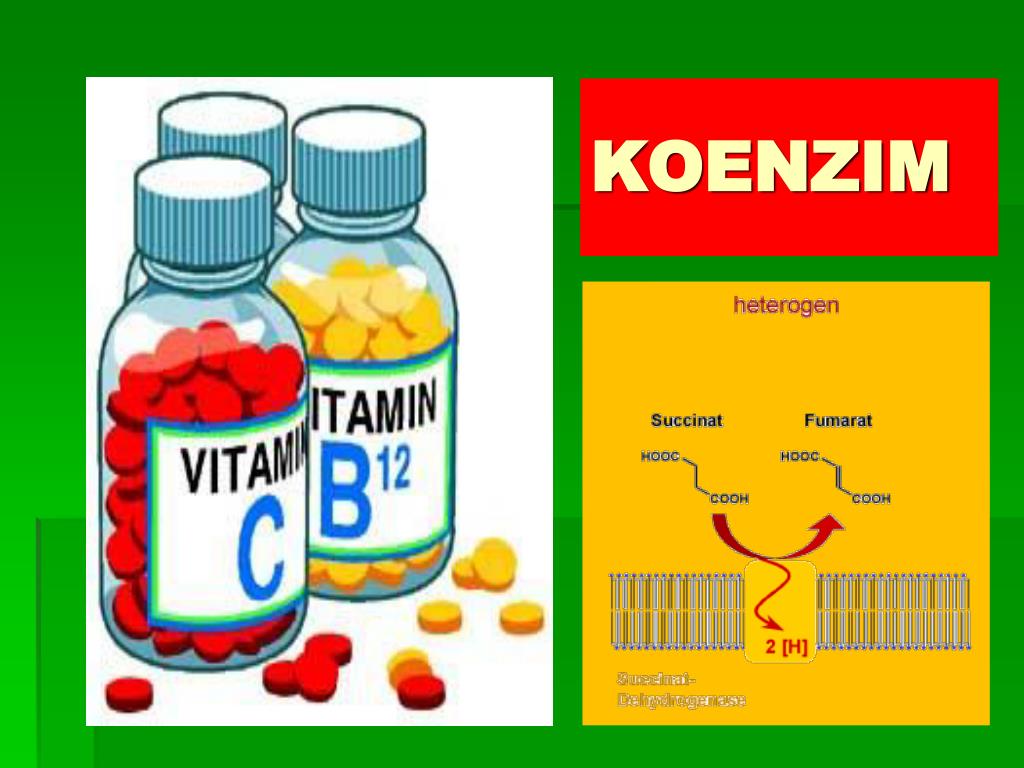 PPT - KOENZIM PowerPoint Presentation, free download - ID:3326408