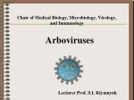 PPT - ARBO VIRUSES PowerPoint Presentation, free download - ID:3414170